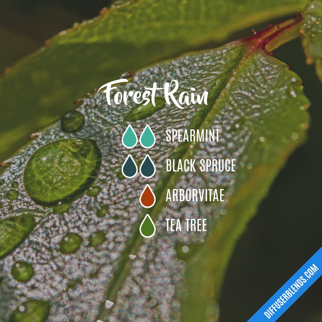 Forest Rain | DiffuserBlends.com