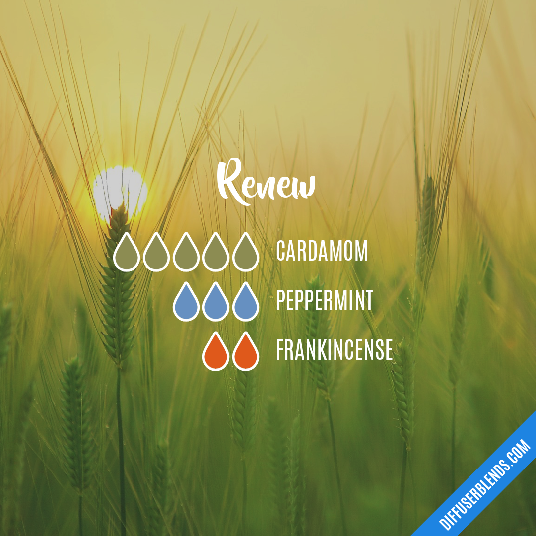 Renew | DiffuserBlends.com