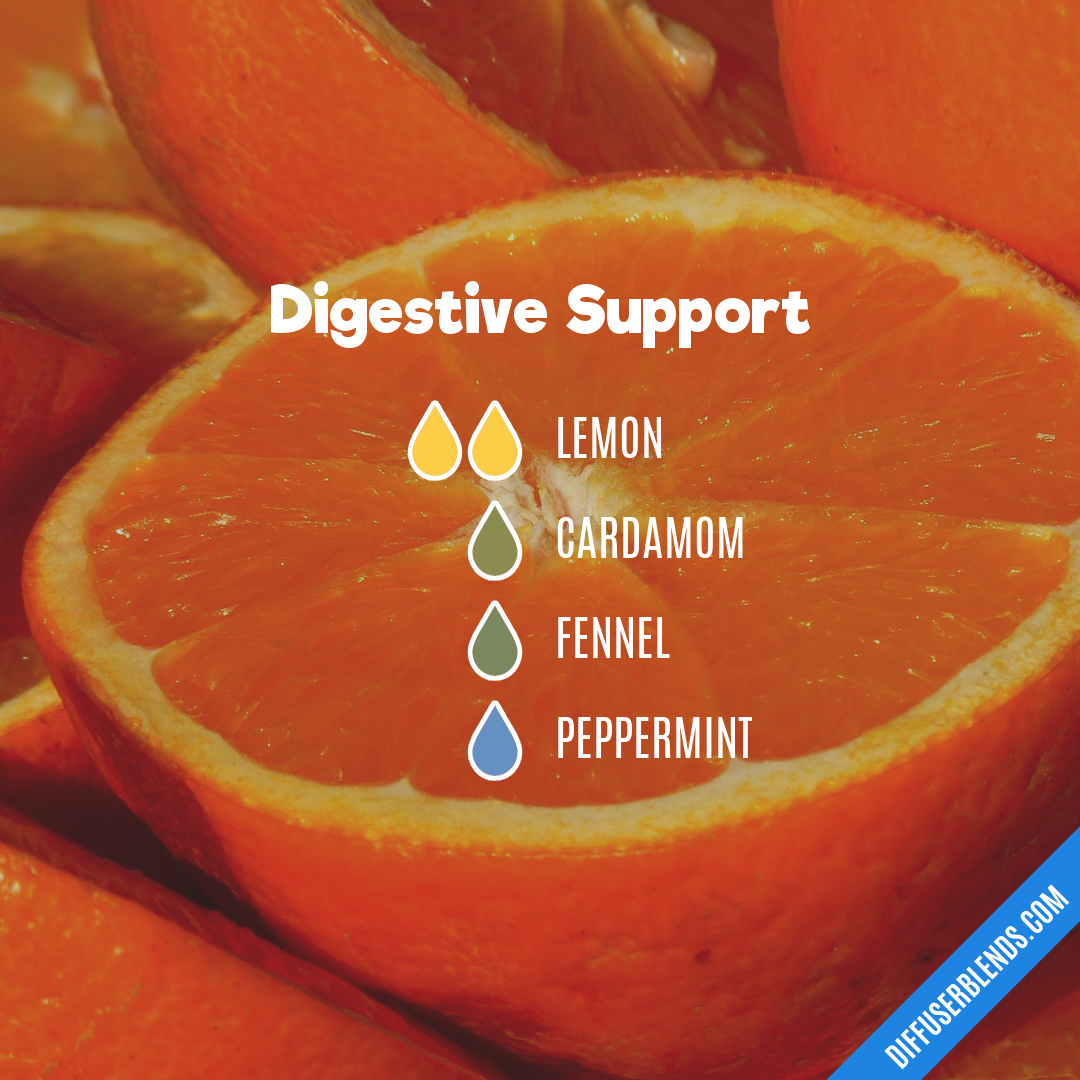 Digestive Support | DiffuserBlends.com