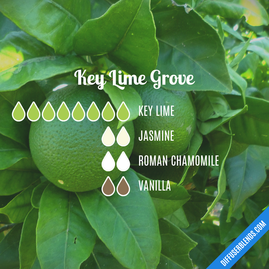 Key Lime Grove | DiffuserBlends.com