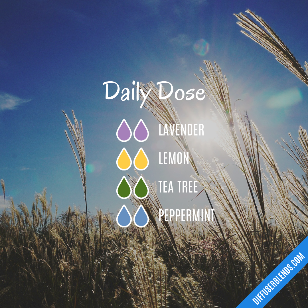 Daily Dose | DiffuserBlends.com