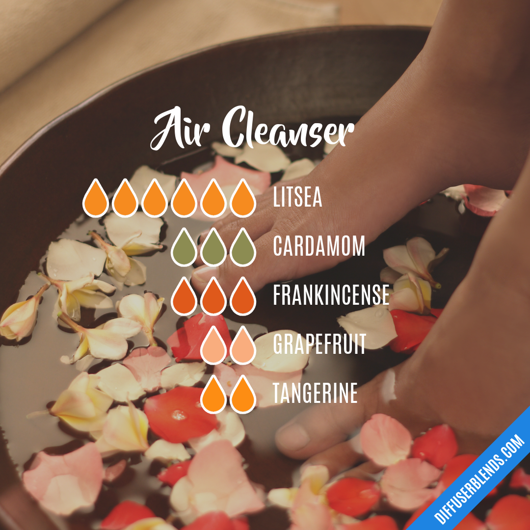 Air Cleanser | DiffuserBlends.com