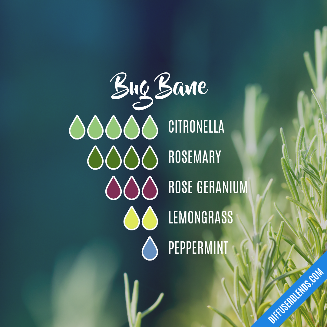 Bug Bane | DiffuserBlends.com