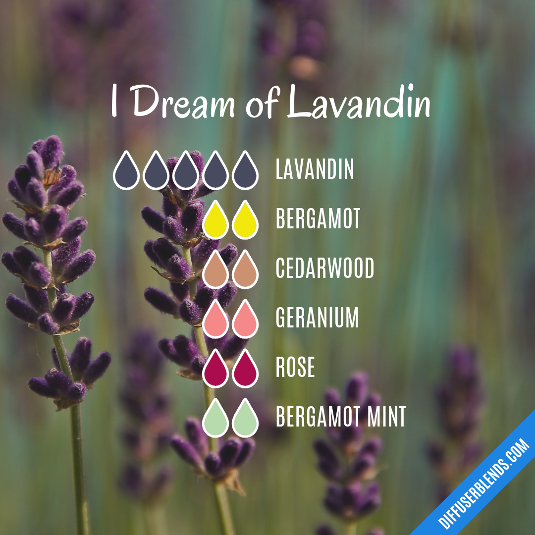I Dream of Lavandin | DiffuserBlends.com