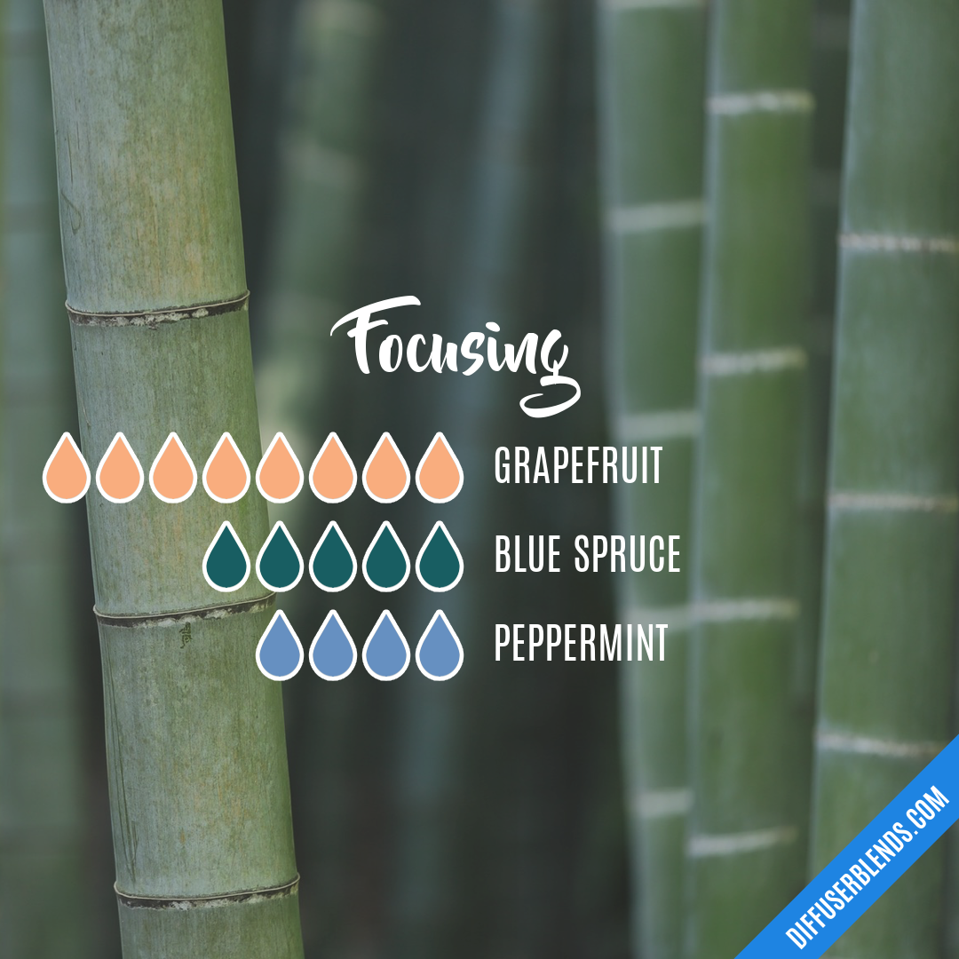 Focusing | DiffuserBlends.com