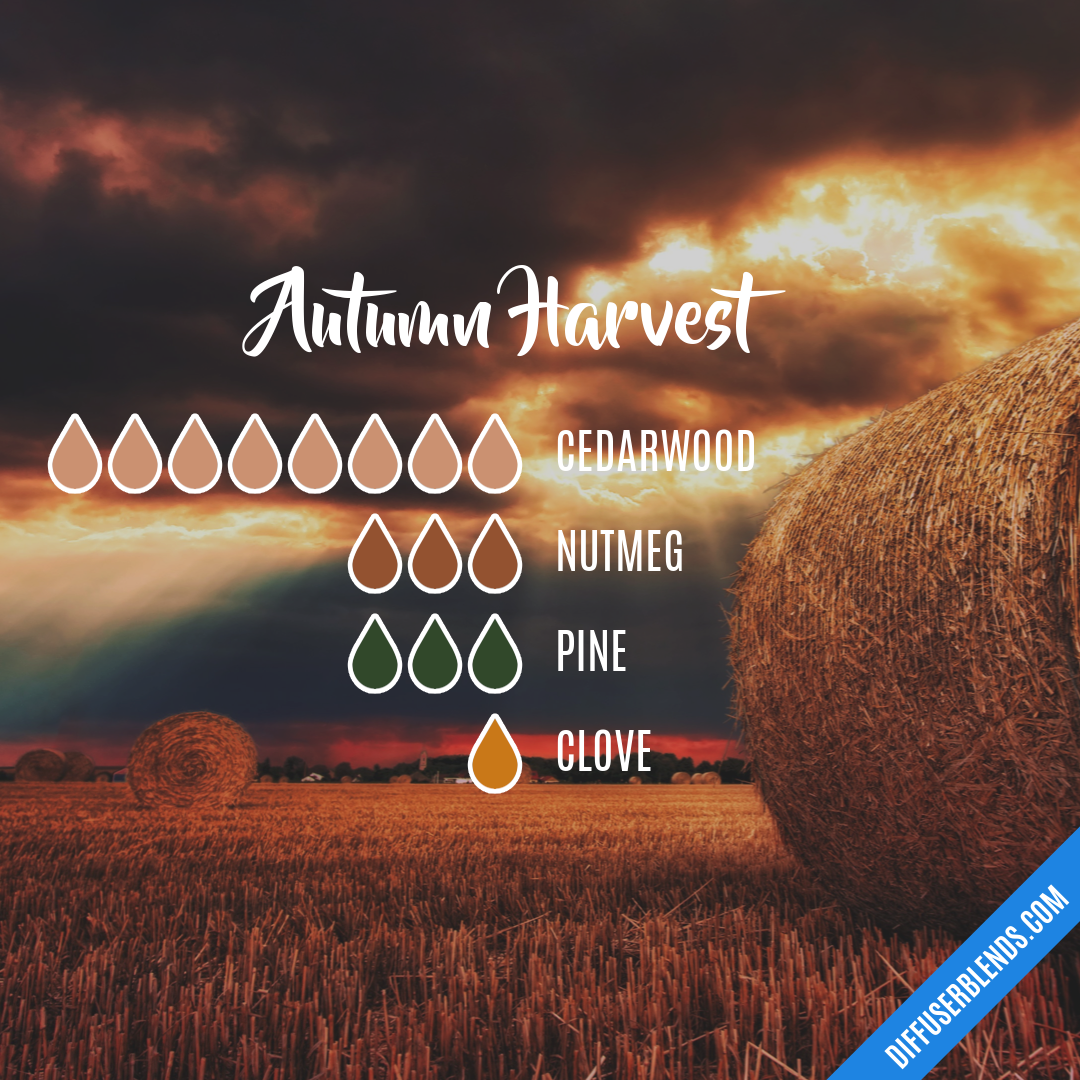 Autumn Harvest | DiffuserBlends.com