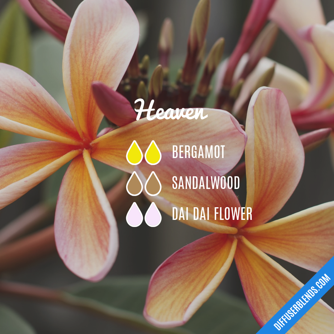 Heaven | DiffuserBlends.com