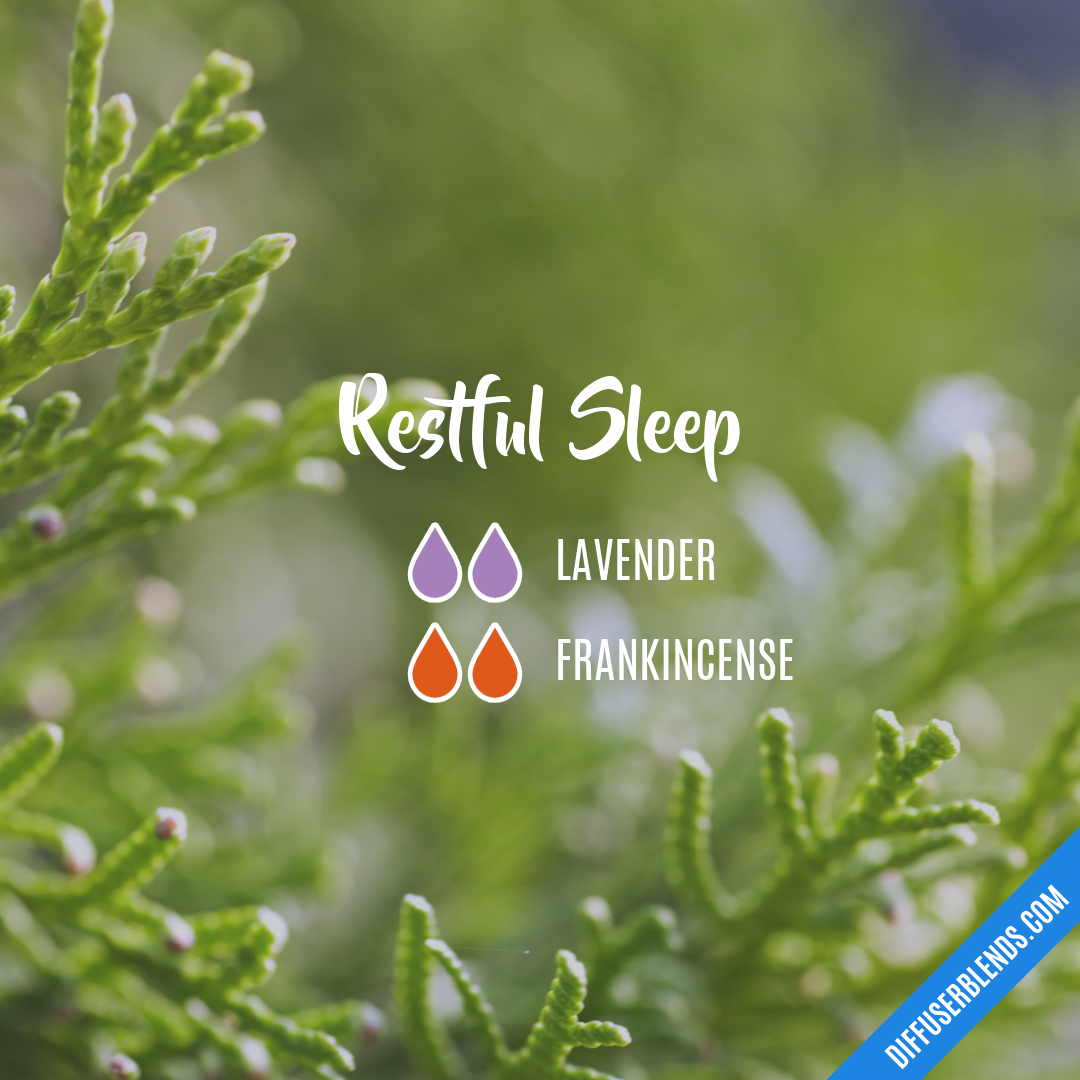 Restful Sleep | DiffuserBlends.com