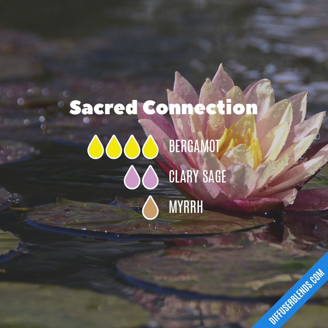 Sacred Connection | DiffuserBlends.com