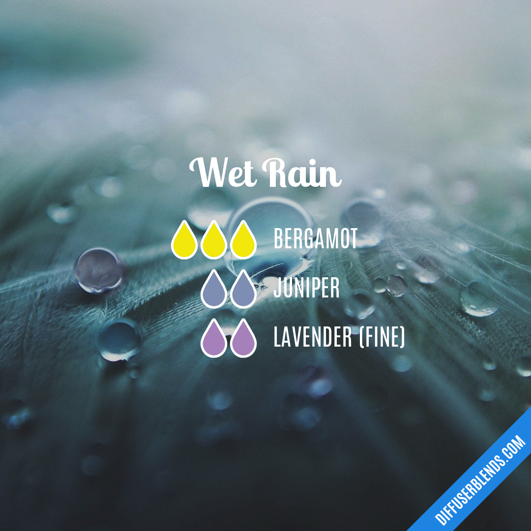 Wet Rain | DiffuserBlends.com