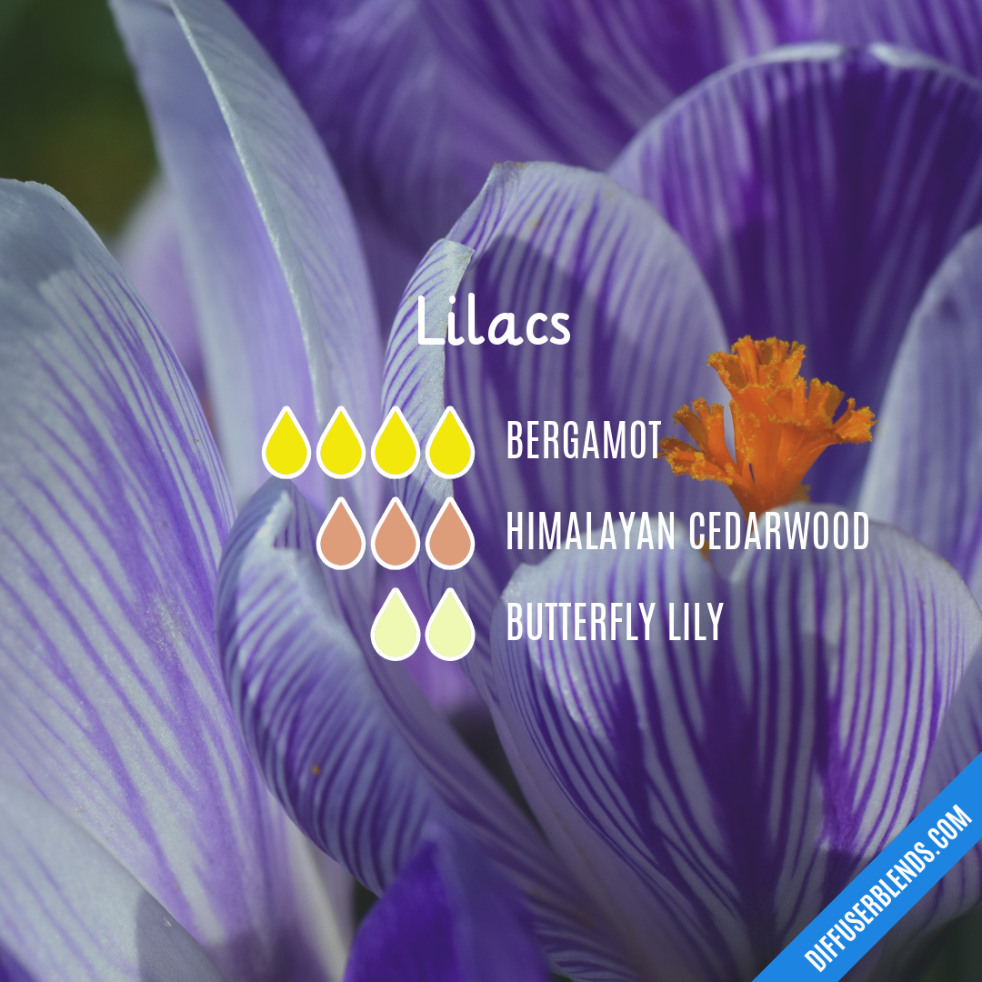 Lilacs | DiffuserBlends.com