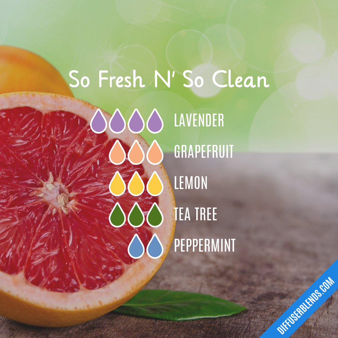 So Fresh N' So Clean | DiffuserBlends.com