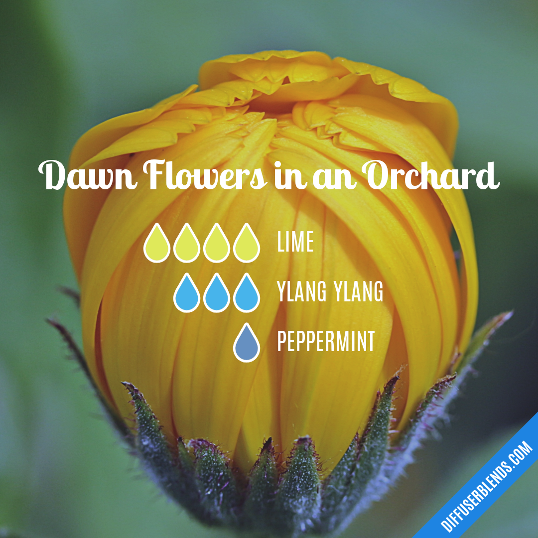 Dawn Flowers in an Orchard | DiffuserBlends.com