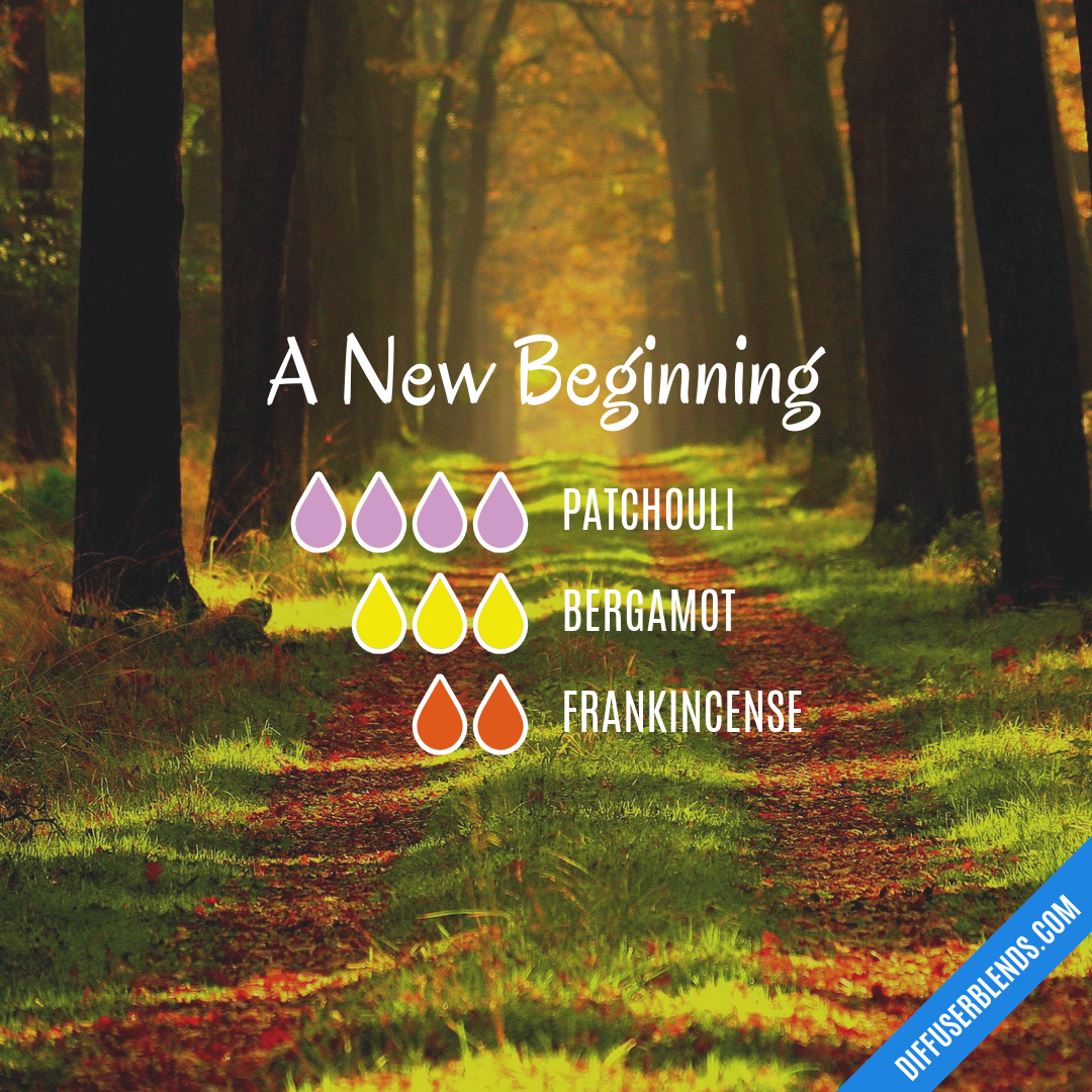 A New Beginning | DiffuserBlends.com