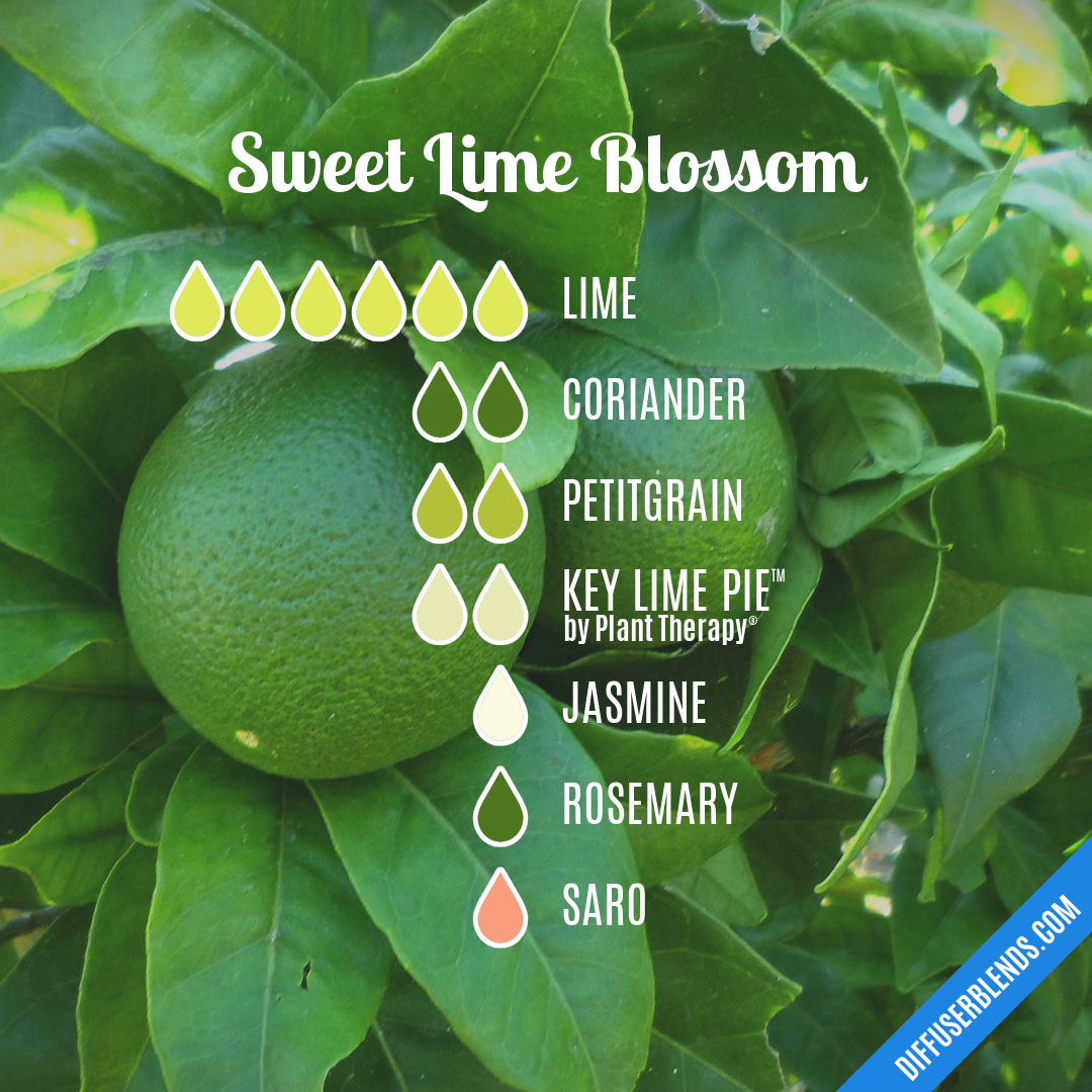 Sweet Lime Blossom | DiffuserBlends.com