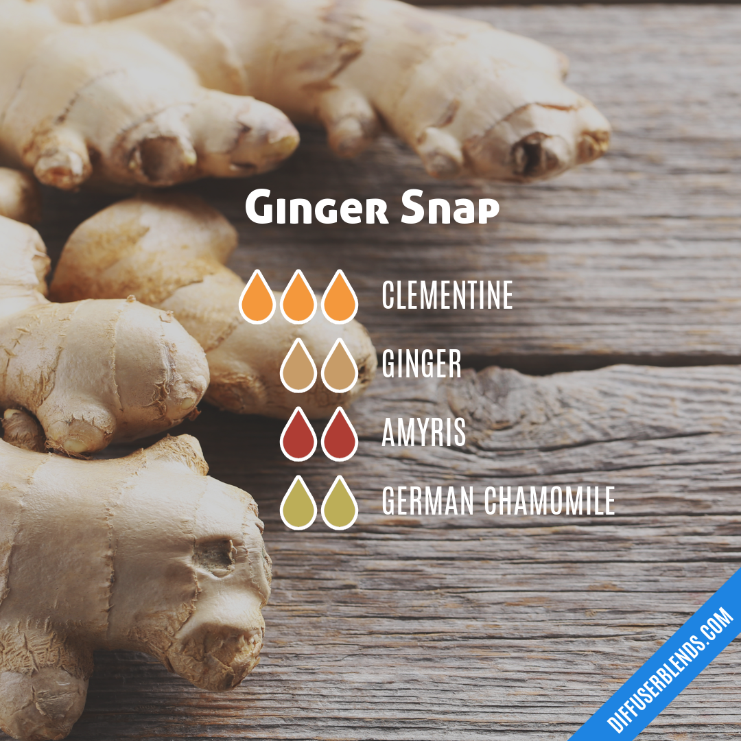 Ginger Snap | DiffuserBlends.com