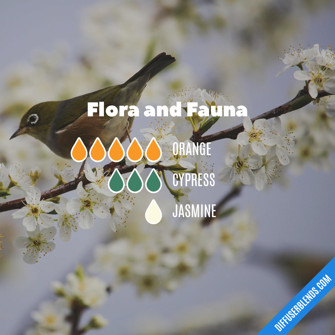 Flora and Fauna | DiffuserBlends.com