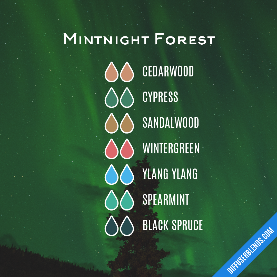 Mintnight Forest | DiffuserBlends.com