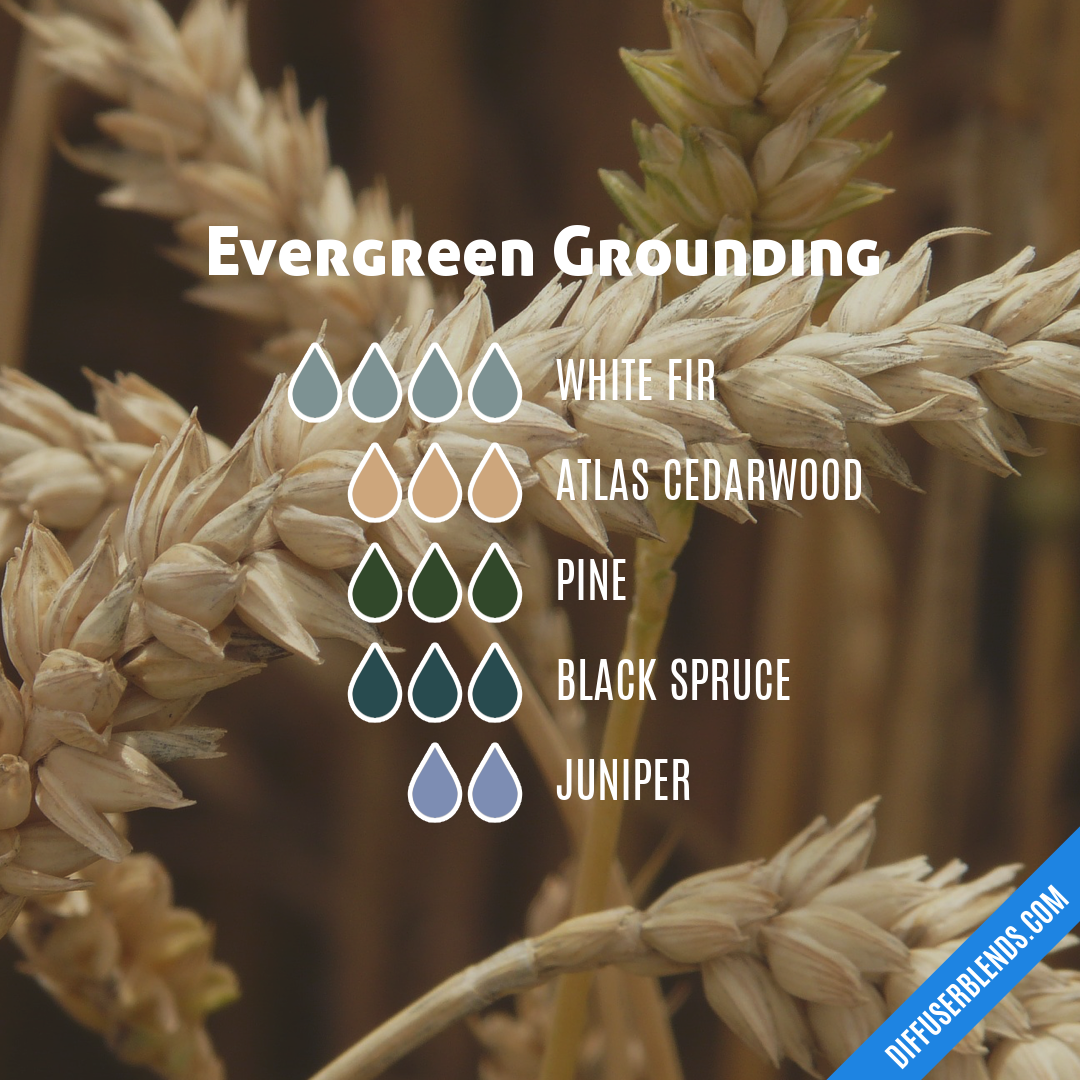 Evergreen Grounding | DiffuserBlends.com