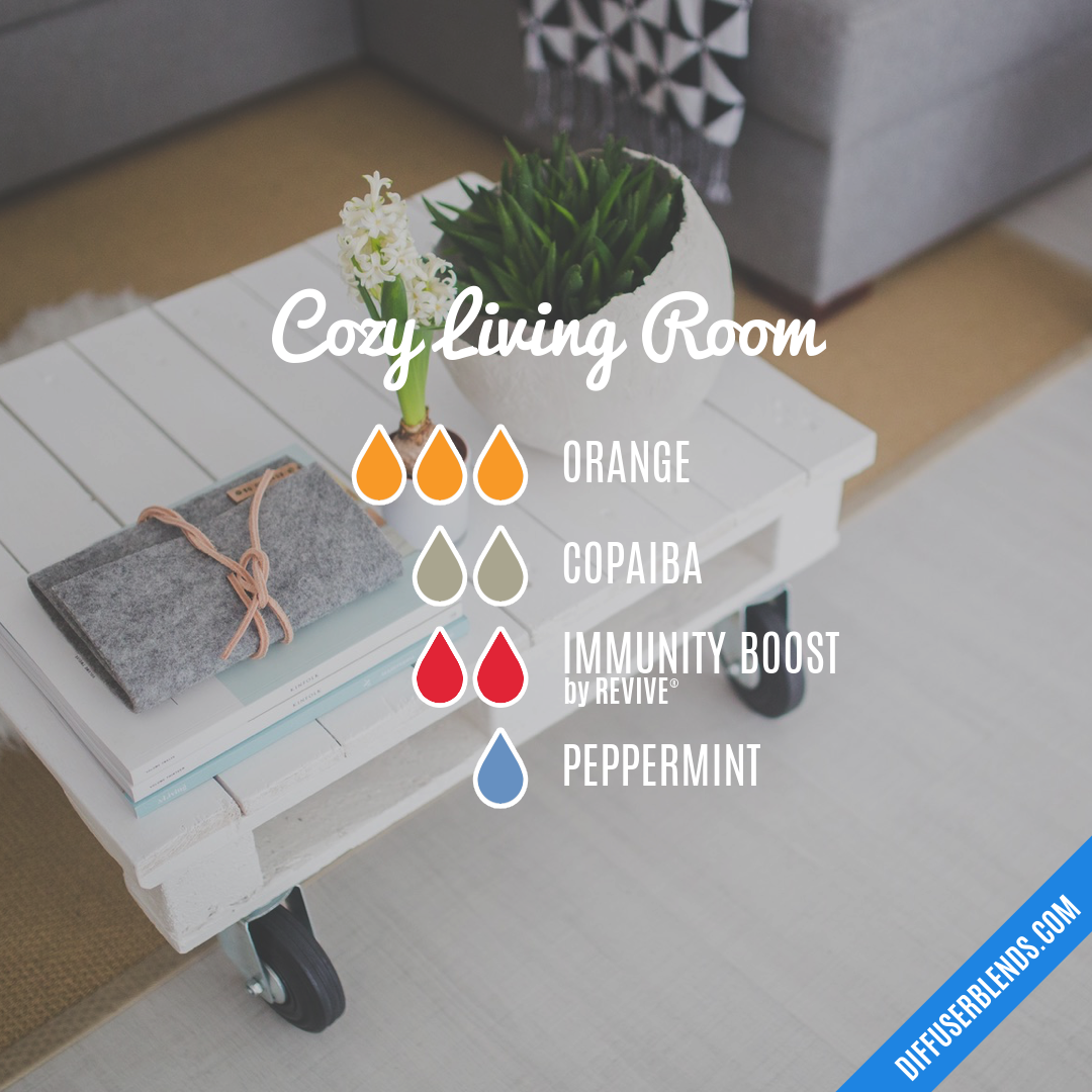 Cozy Living Room | DiffuserBlends.com