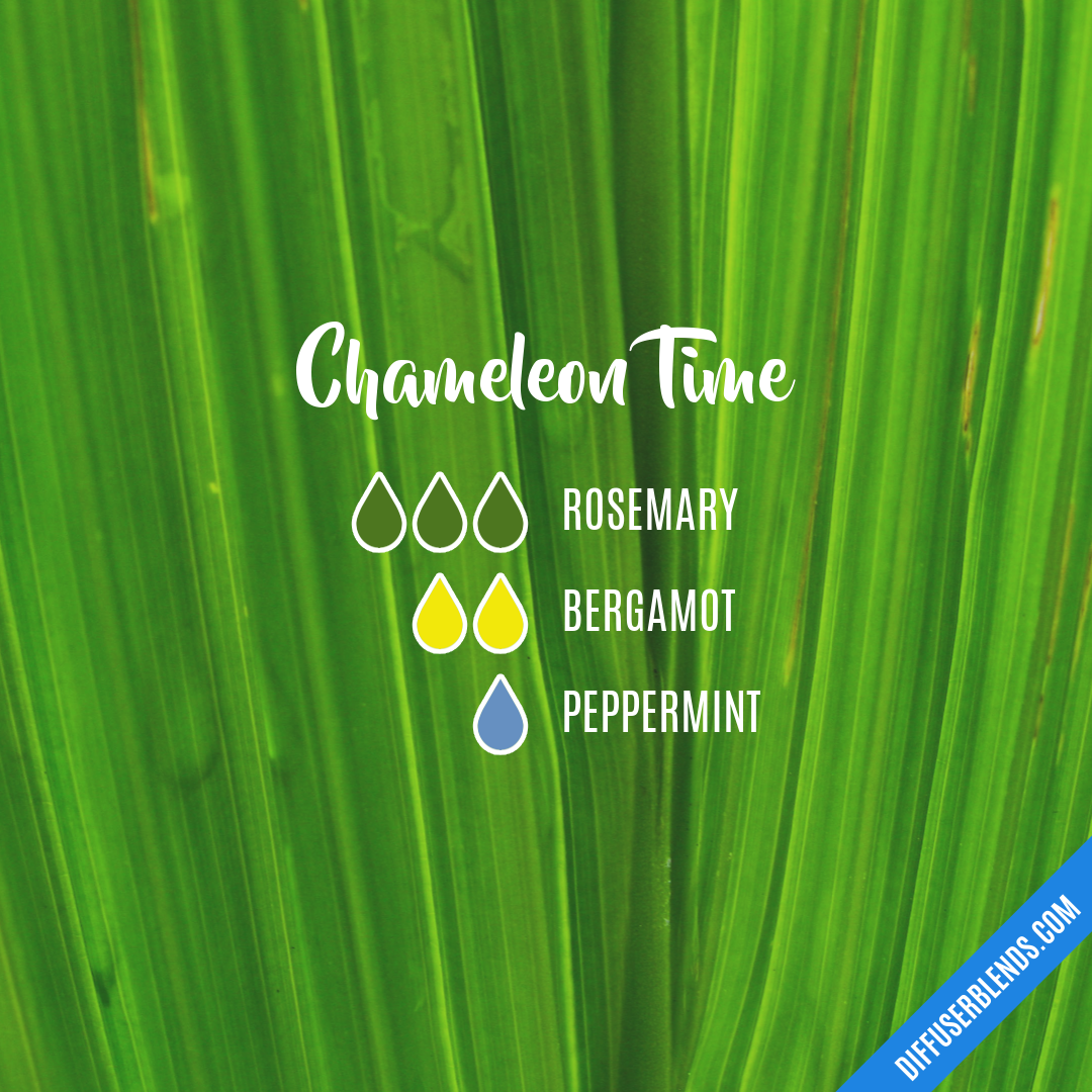 Chameleon Time | DiffuserBlends.com