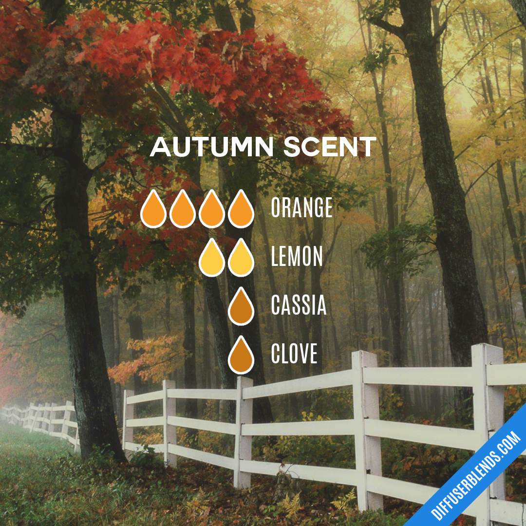 Autumn Scent | DiffuserBlends.com