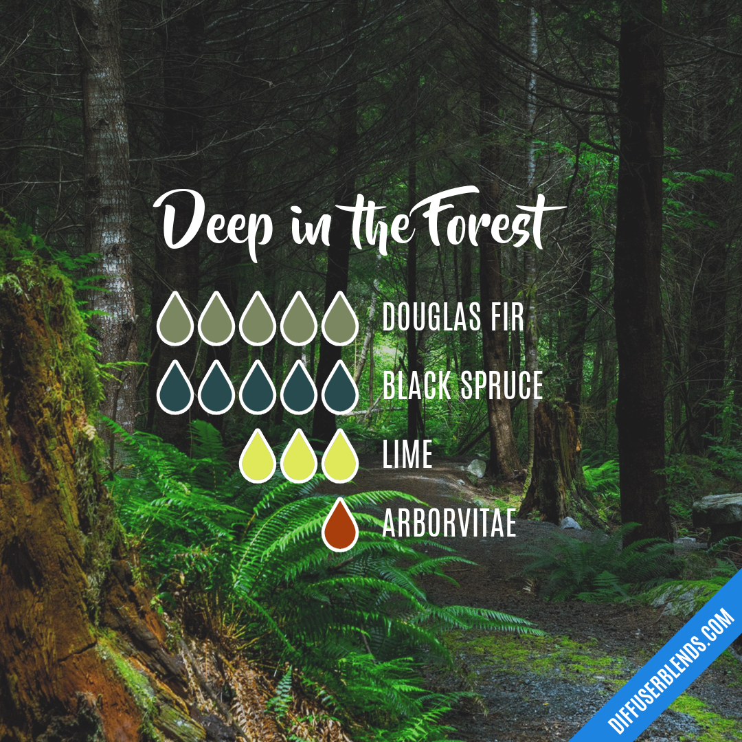 Deep in the Forest | DiffuserBlends.com