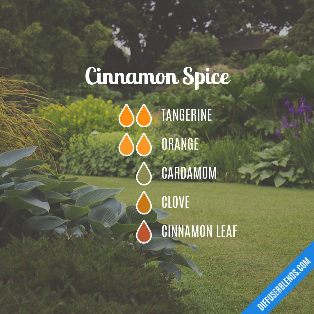 Cinnamon Spice | DiffuserBlends.com
