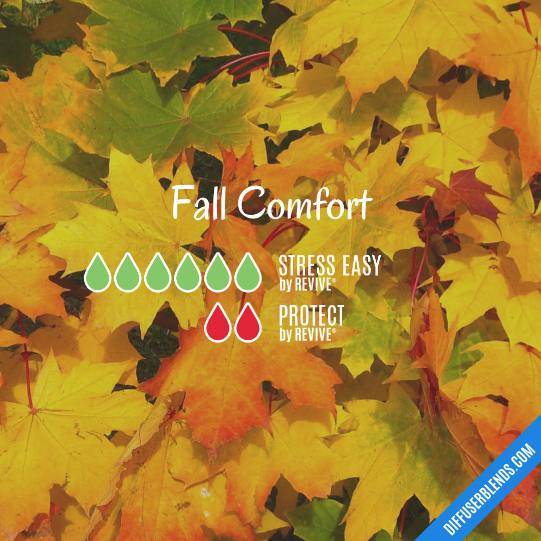 Fall Comfort | DiffuserBlends.com