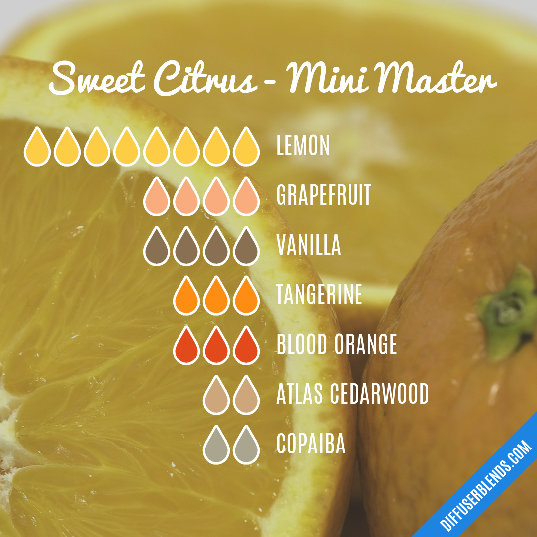 Sweet Citrus - Mini Master | DiffuserBlends.com