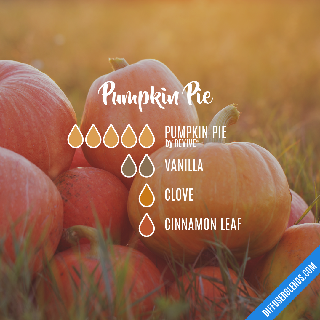 Pumpkin Pie | DiffuserBlends.com