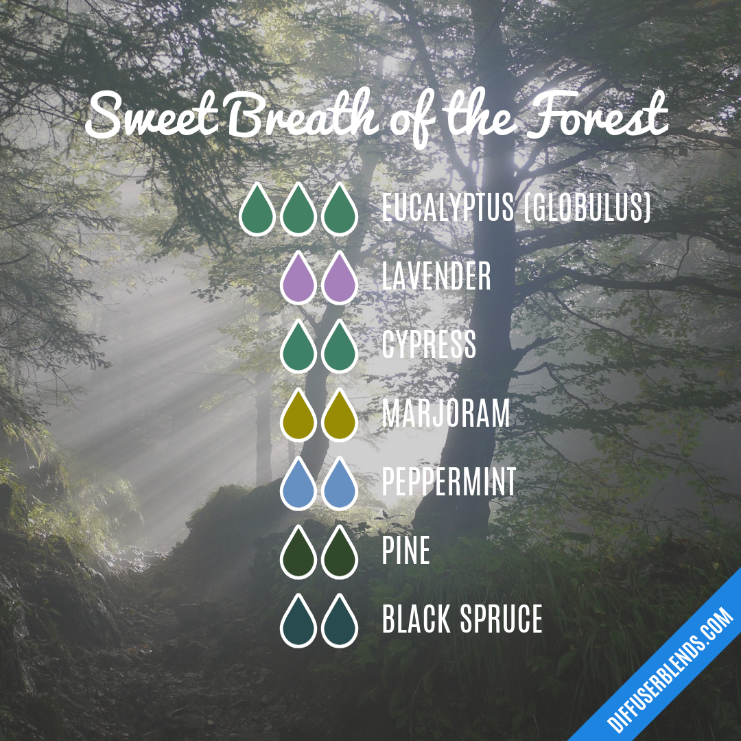 Sweet Breath of the Forest | DiffuserBlends.com
