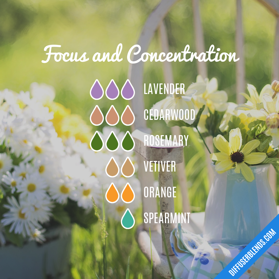 Focus and Concentration | DiffuserBlends.com