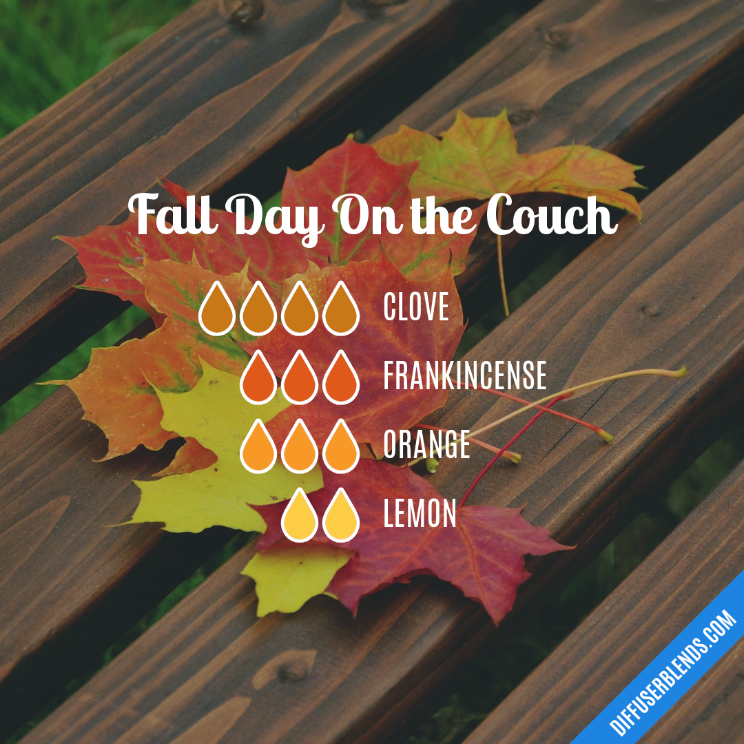 Fall Day On the Couch | DiffuserBlends.com