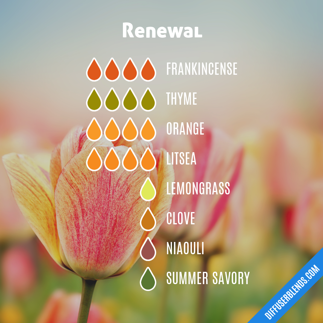 Renewal | DiffuserBlends.com