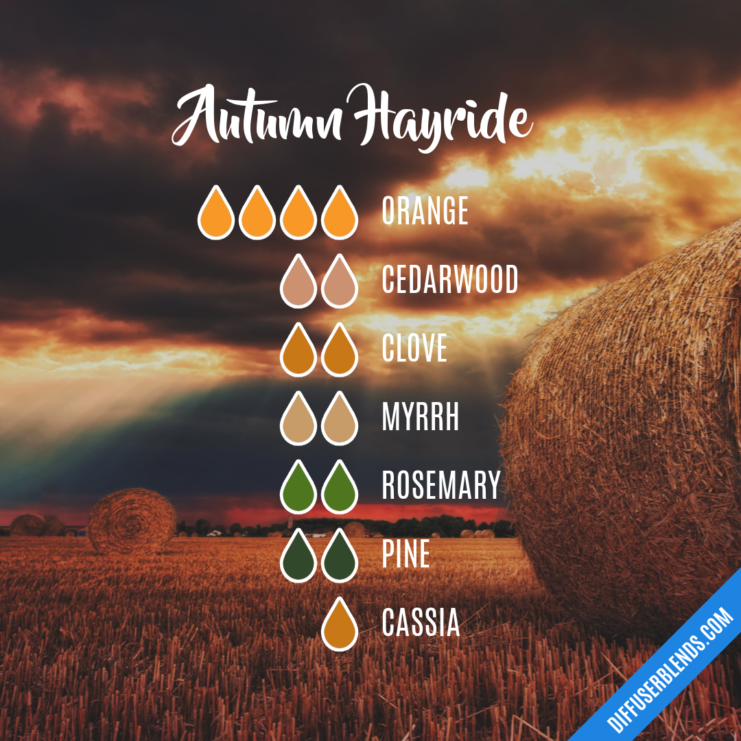 Autumn Hayride | DiffuserBlends.com