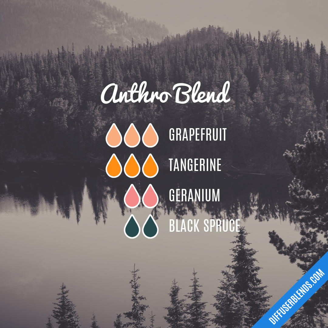Anthro Blend | DiffuserBlends.com