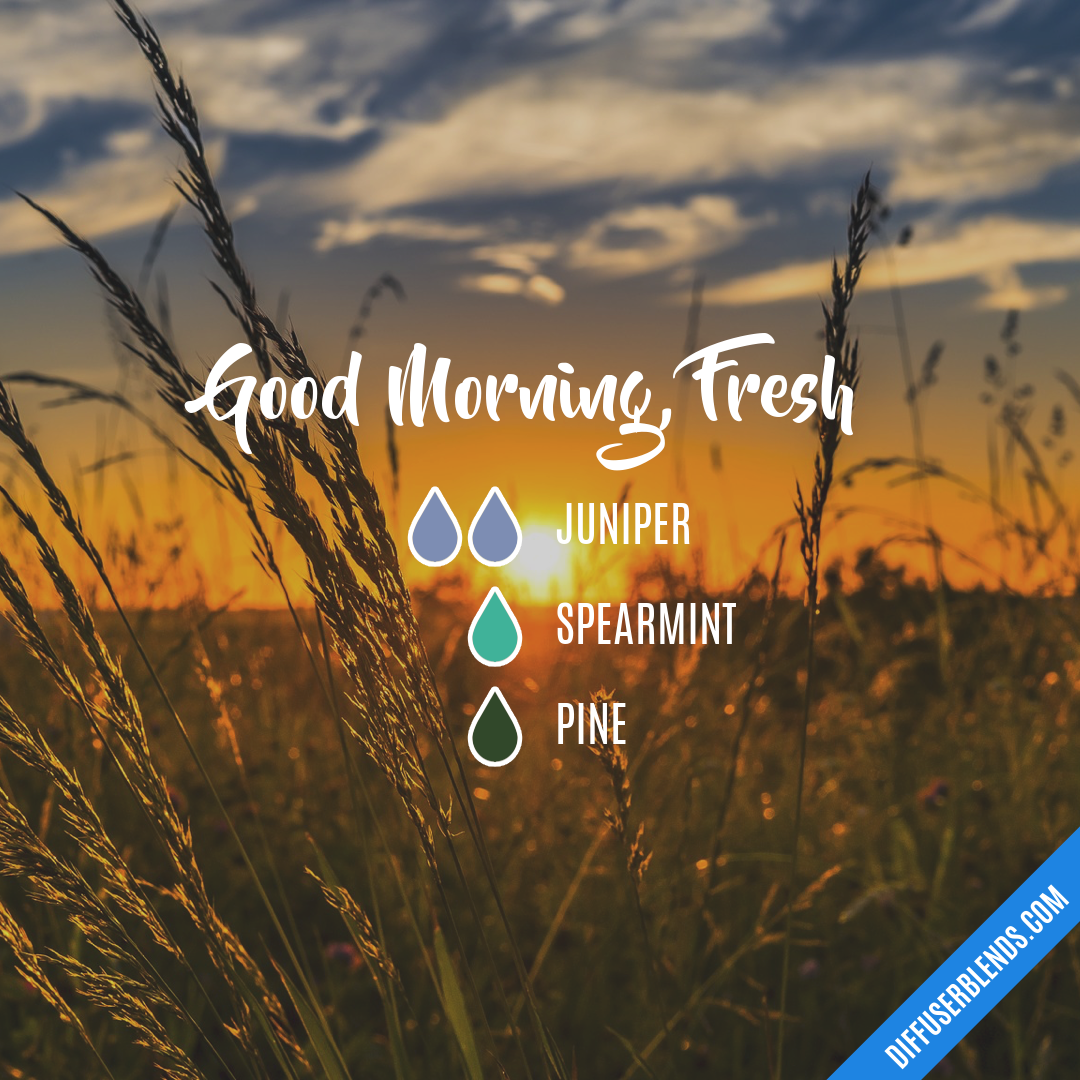 Good Morning, Fresh | DiffuserBlends.com