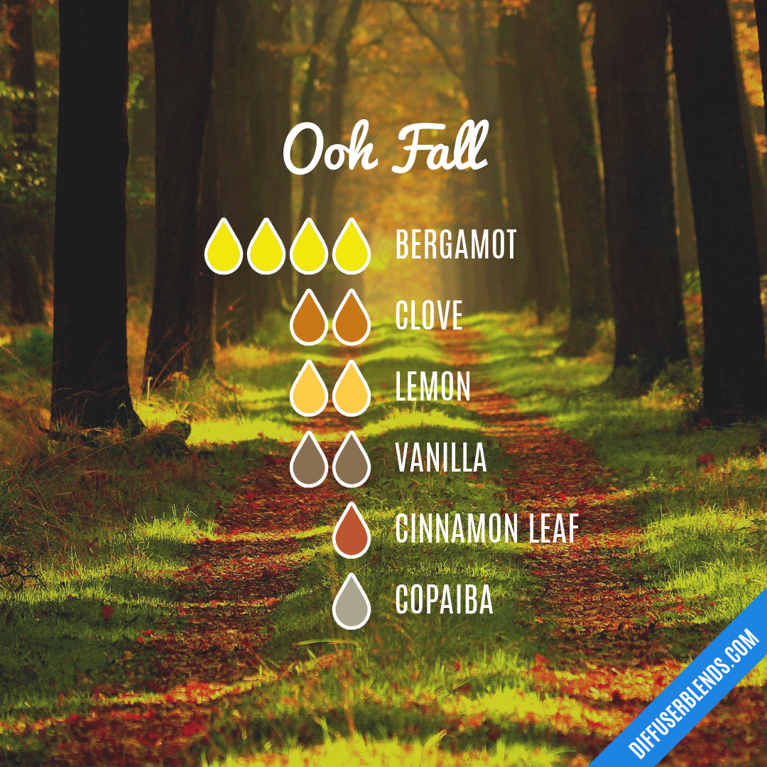 Ooh Fall | DiffuserBlends.com