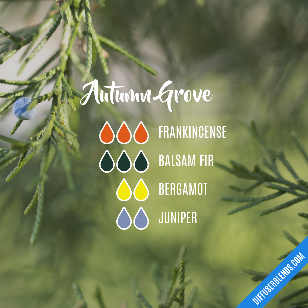 Autumn Grove | DiffuserBlends.com