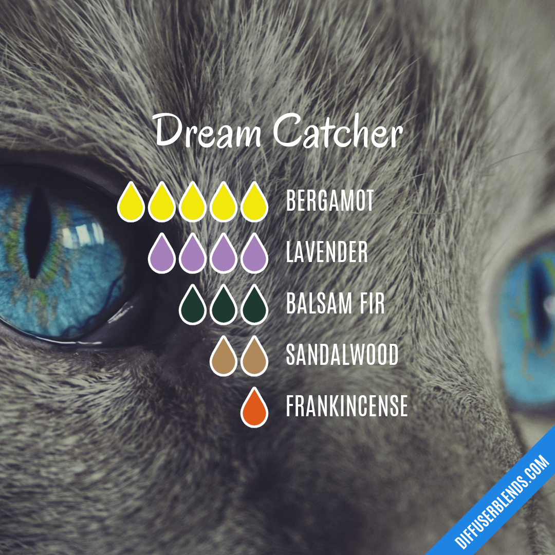 Dream Catcher | DiffuserBlends.com