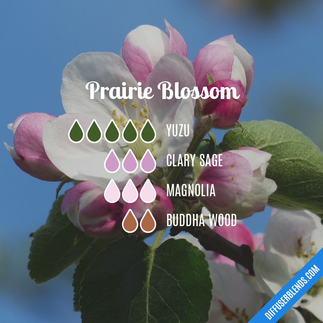 Prairie Blossom | DiffuserBlends.com