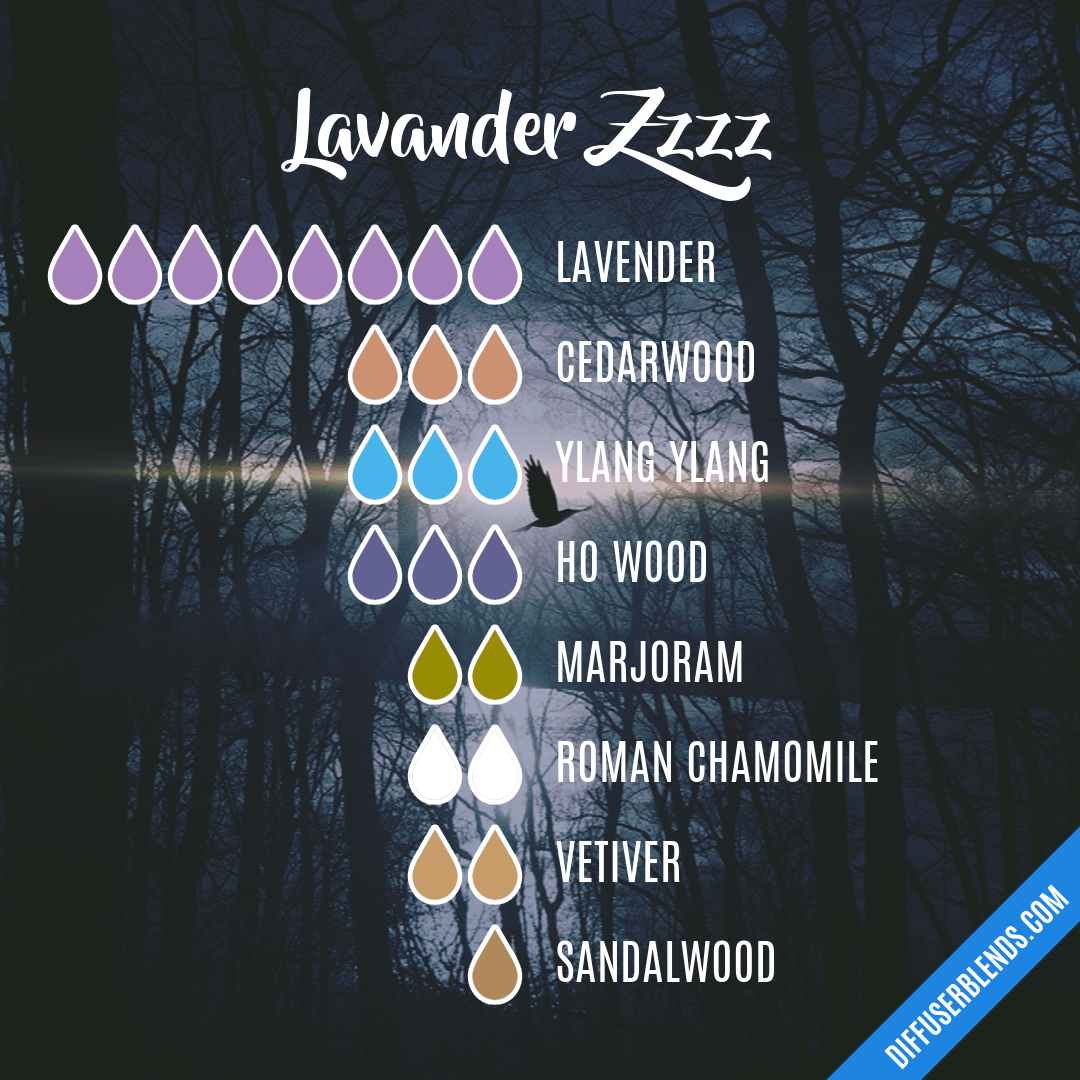 Lavander Zzzz | DiffuserBlends.com