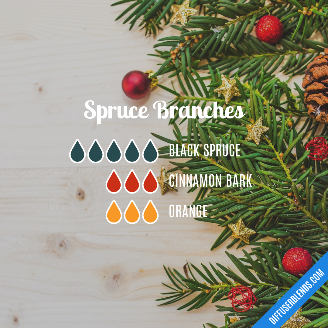 Spruce Branches | DiffuserBlends.com