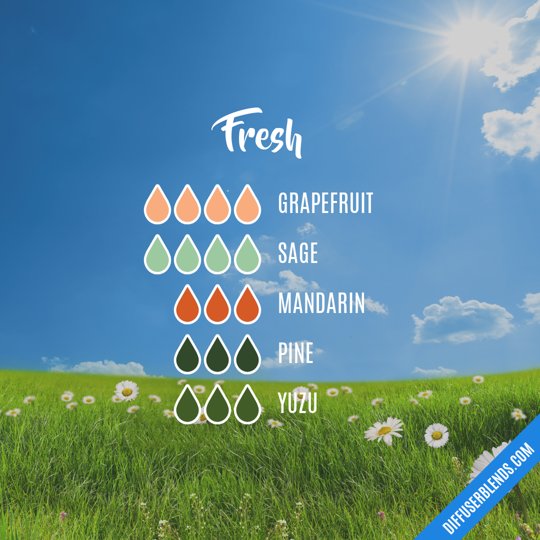 Fresh | DiffuserBlends.com