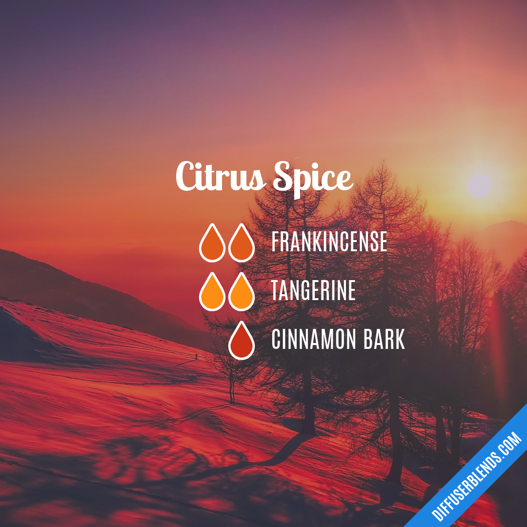 Citrus Spice | DiffuserBlends.com