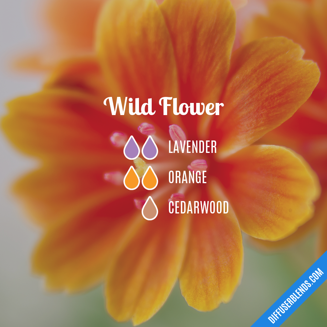 Wild Flower | DiffuserBlends.com