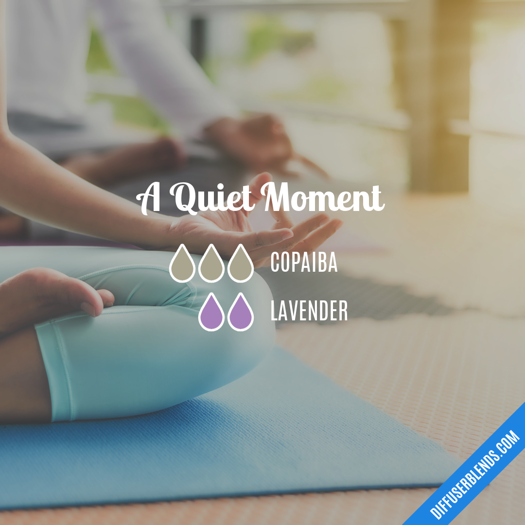 A Quiet Moment | DiffuserBlends.com