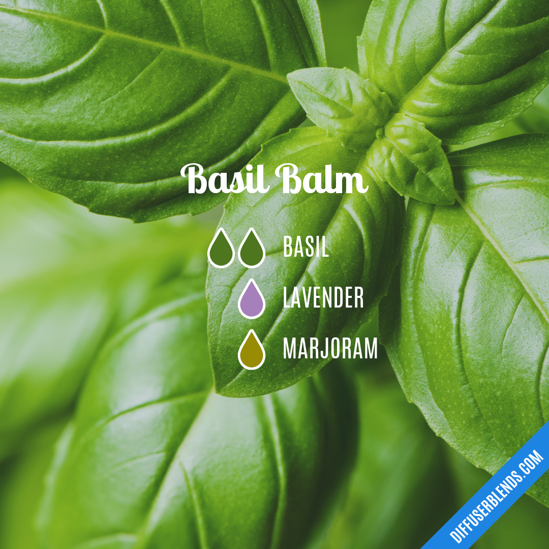 Basil Balm | DiffuserBlends.com