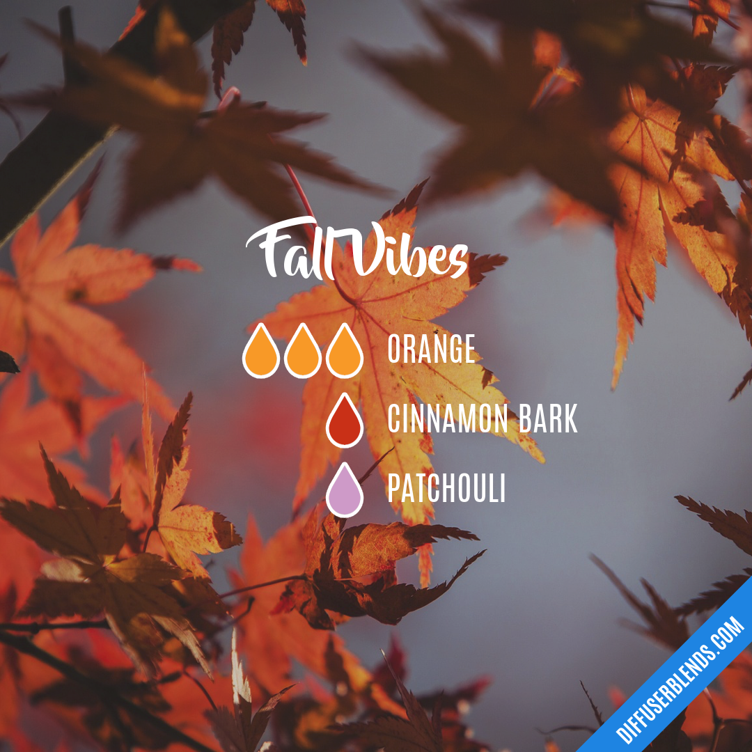Fall Vibes | DiffuserBlends.com